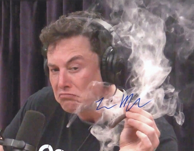 Elon Musk Autograph Profile by RACC - Elon Musk Autographs, Signing ...
